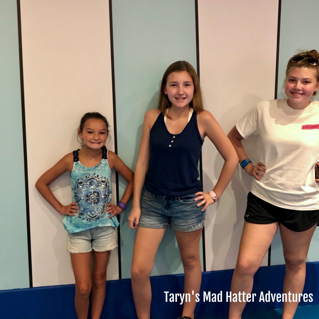 Disney’s Hollywood Studios – Toy Story Land! | Taryn's Mad Hatter ...